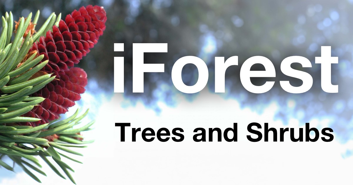 iForest Trees and Shrubs